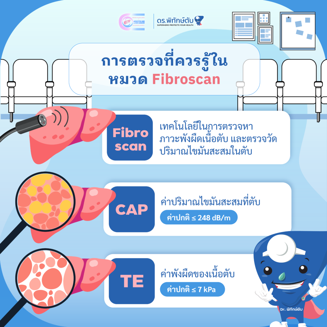 การตรวจที่ควรรู้ในหมวด Fibroscan | LiverChula
